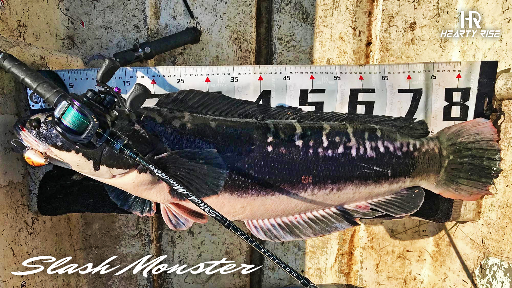 【PRODUCT INFO】HR SLASH MONSTER LURE ROD - HEARTY RISE